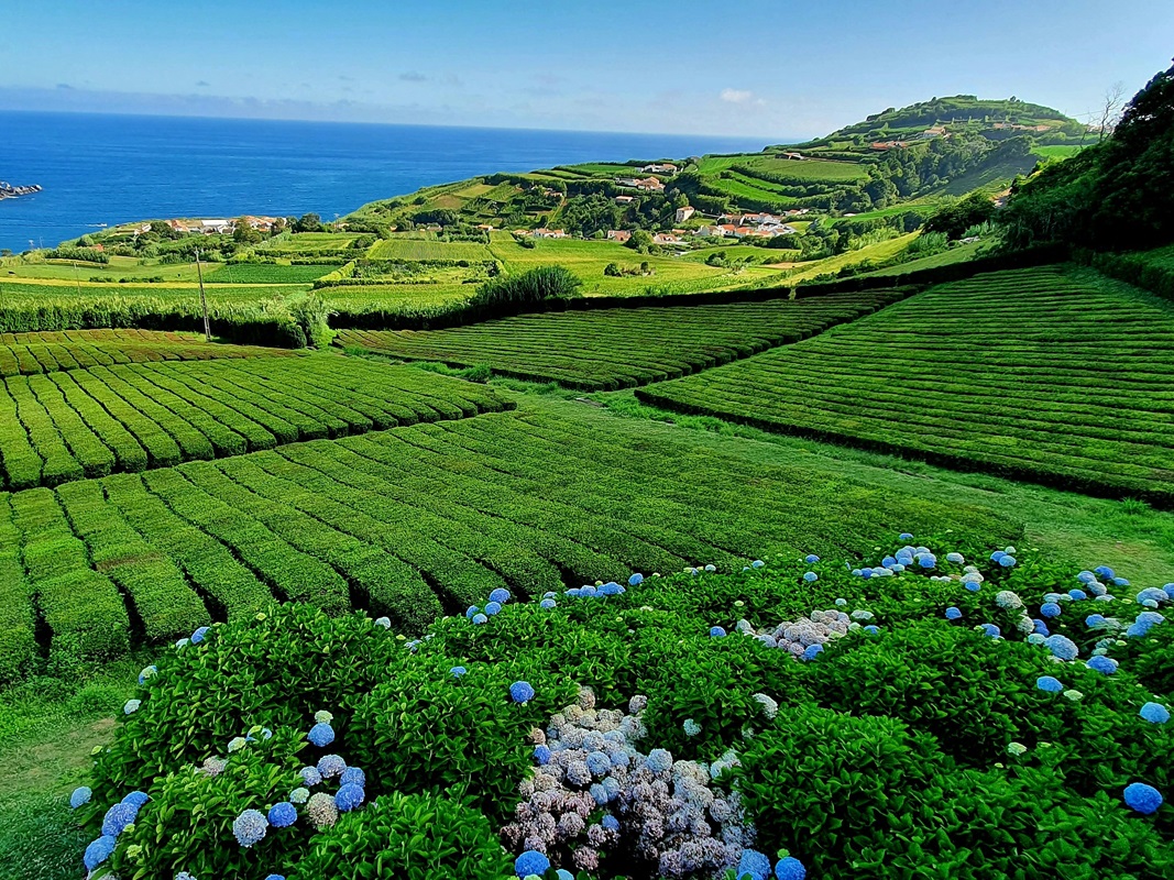 Quand Partir aux Açores ? Climat, météo, activités, le guide des Açores ...