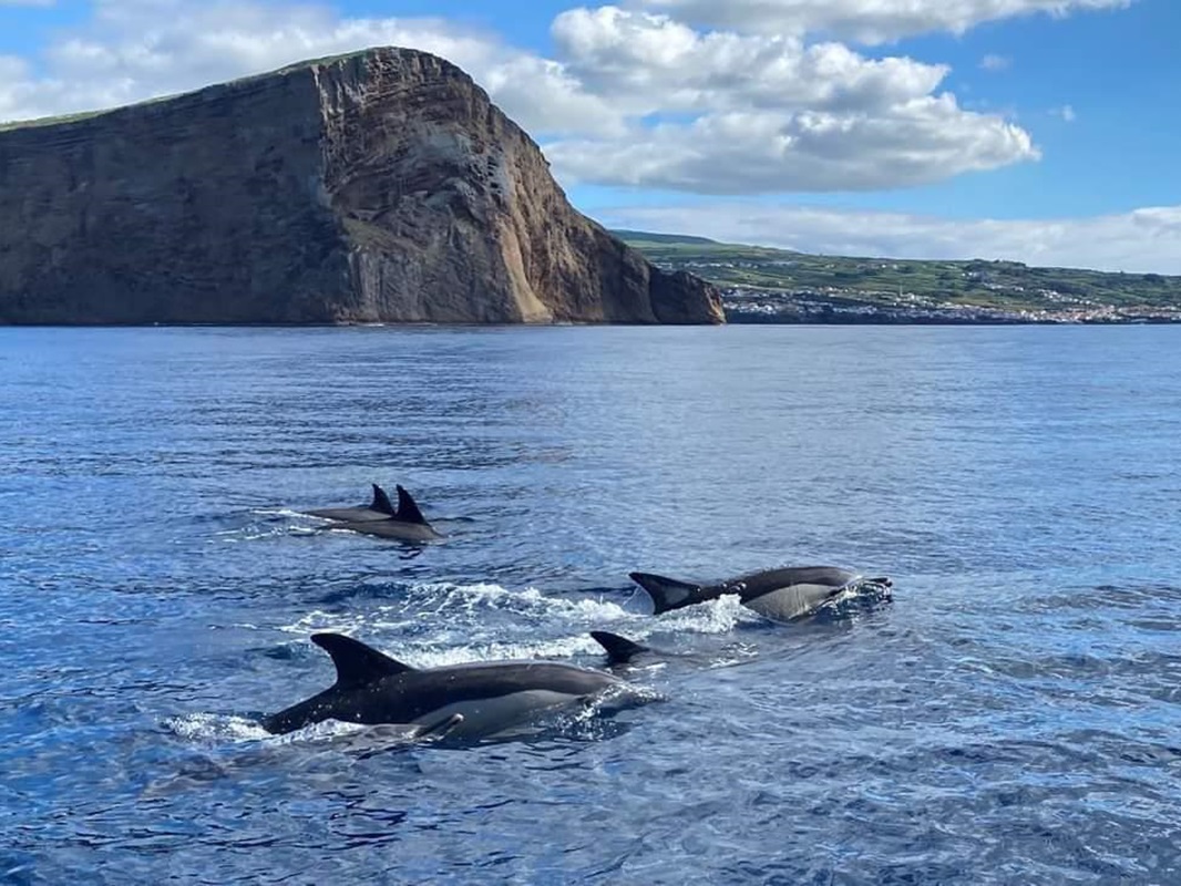 Quand Partir aux Açores ? Climat, météo, activités, le guide des Açores ...